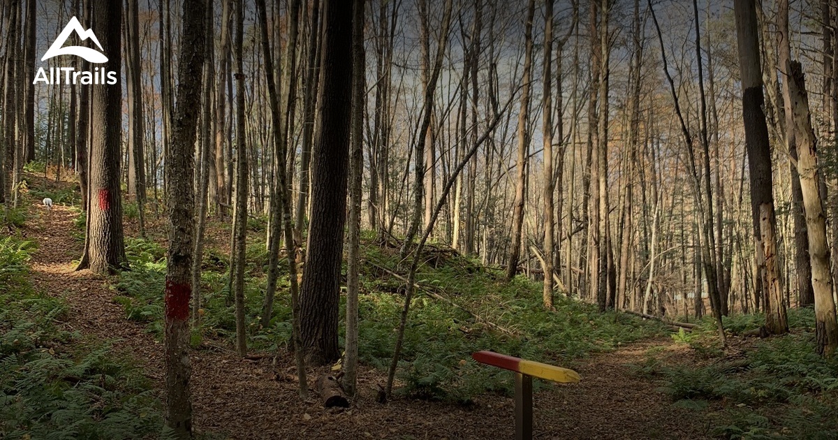 Best easy trails in St. Johnsbury Vermont Town Forest | AllTrails