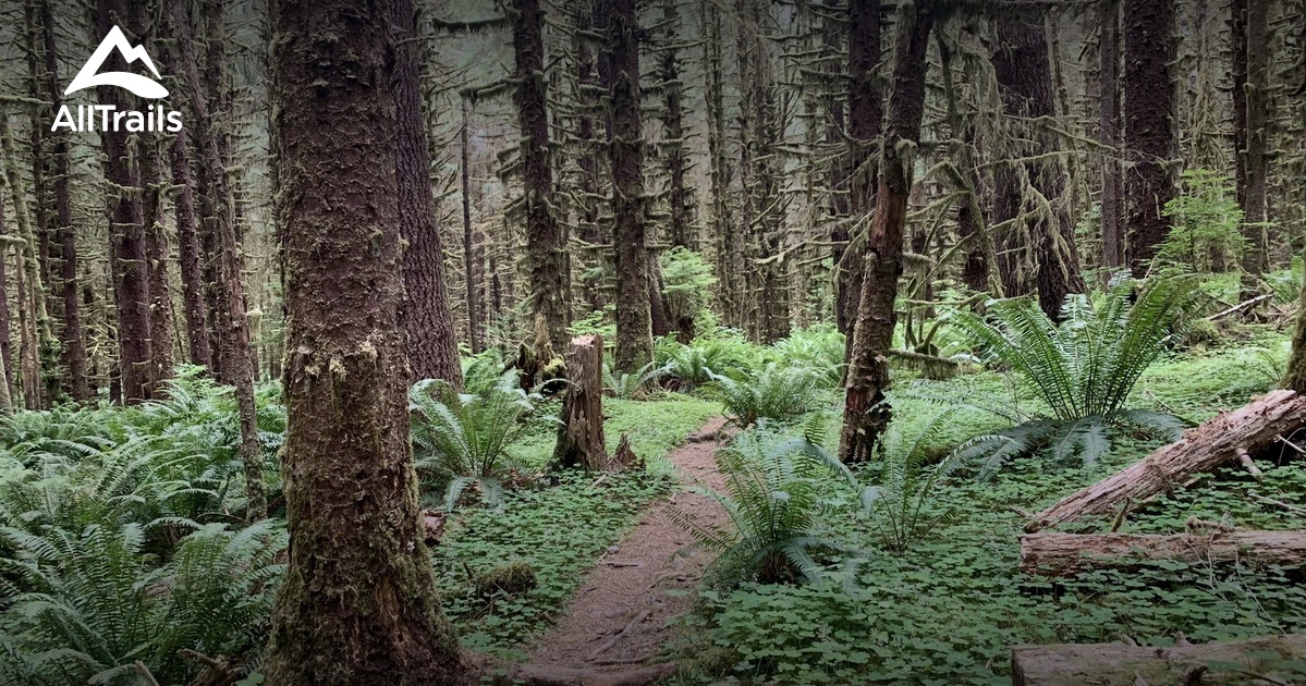 Los mejores senderos de dificultad moderada en Olympic Experimental ...