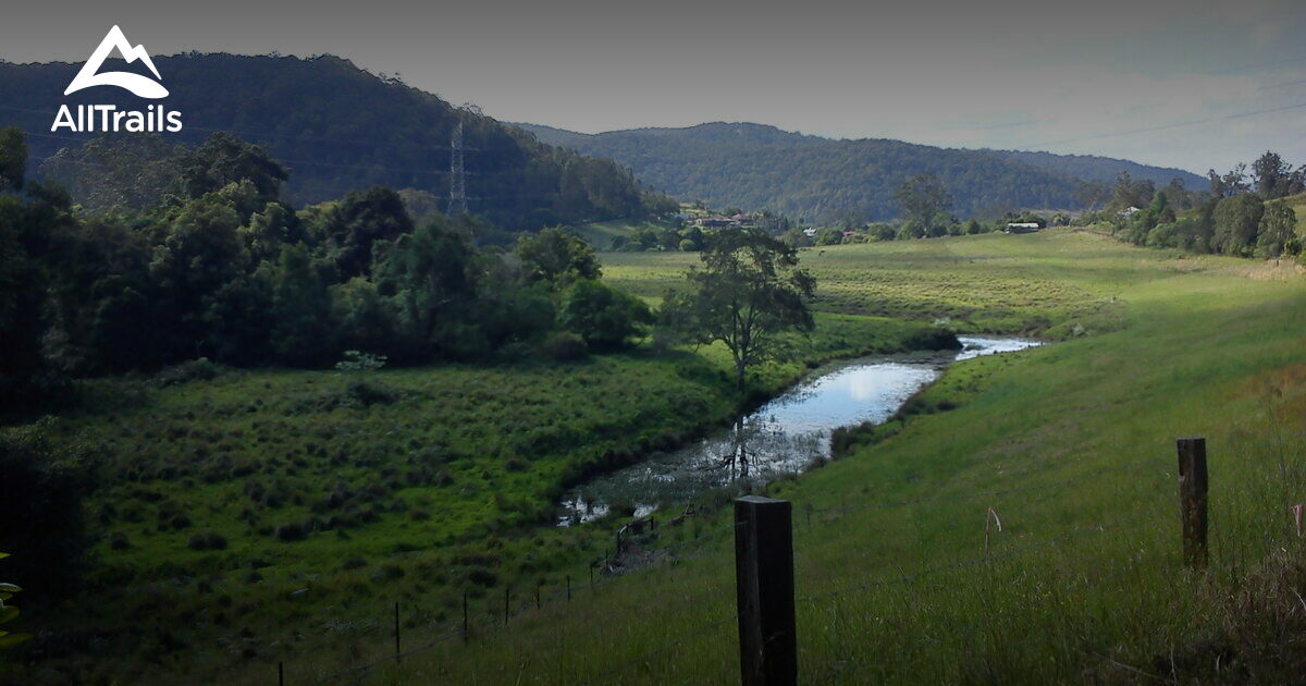 10 Best views trails in Olney State Forest | AllTrails