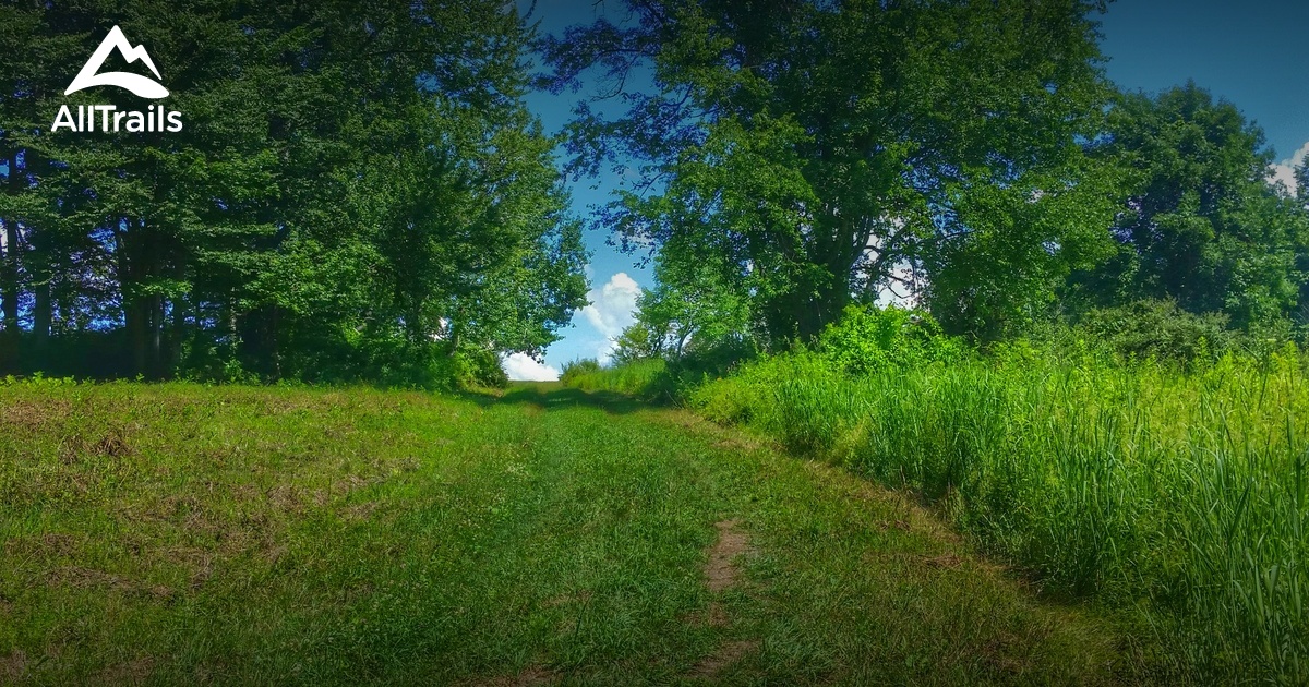 Best hikes and trails in Cranberry Mountain Wildlife Management Area ...