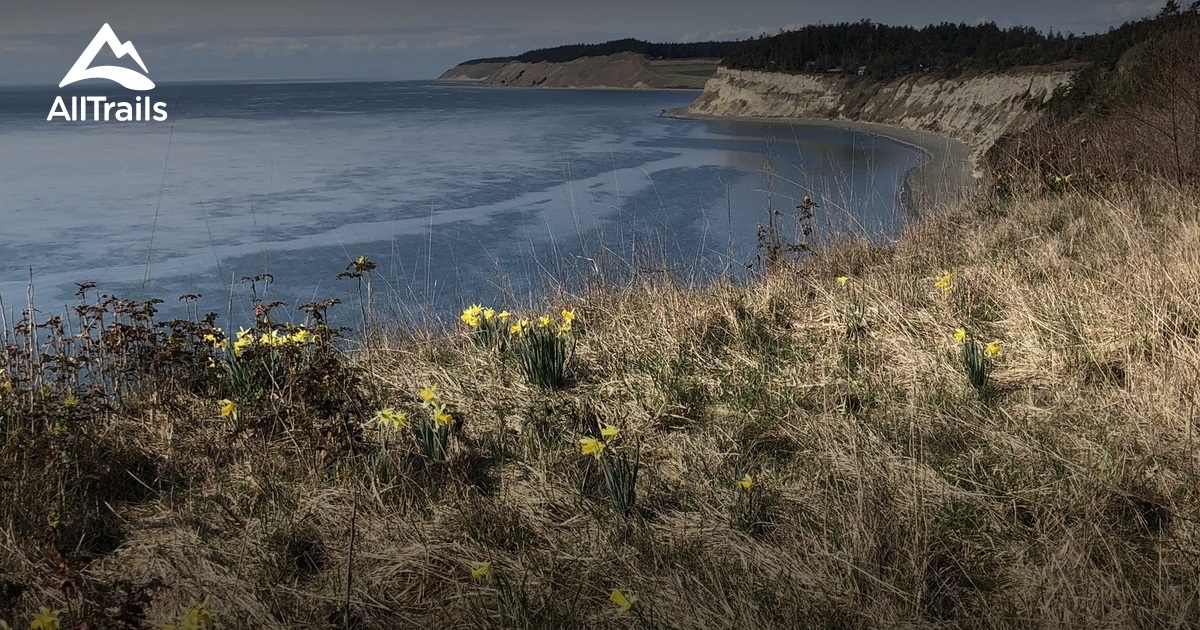 Best hikes and trails in Admiralty Inlet Natural Area Preserve | AllTrails