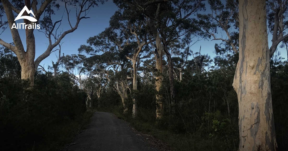 Best hikes and trails in Woollamia Nature Reserve | AllTrails