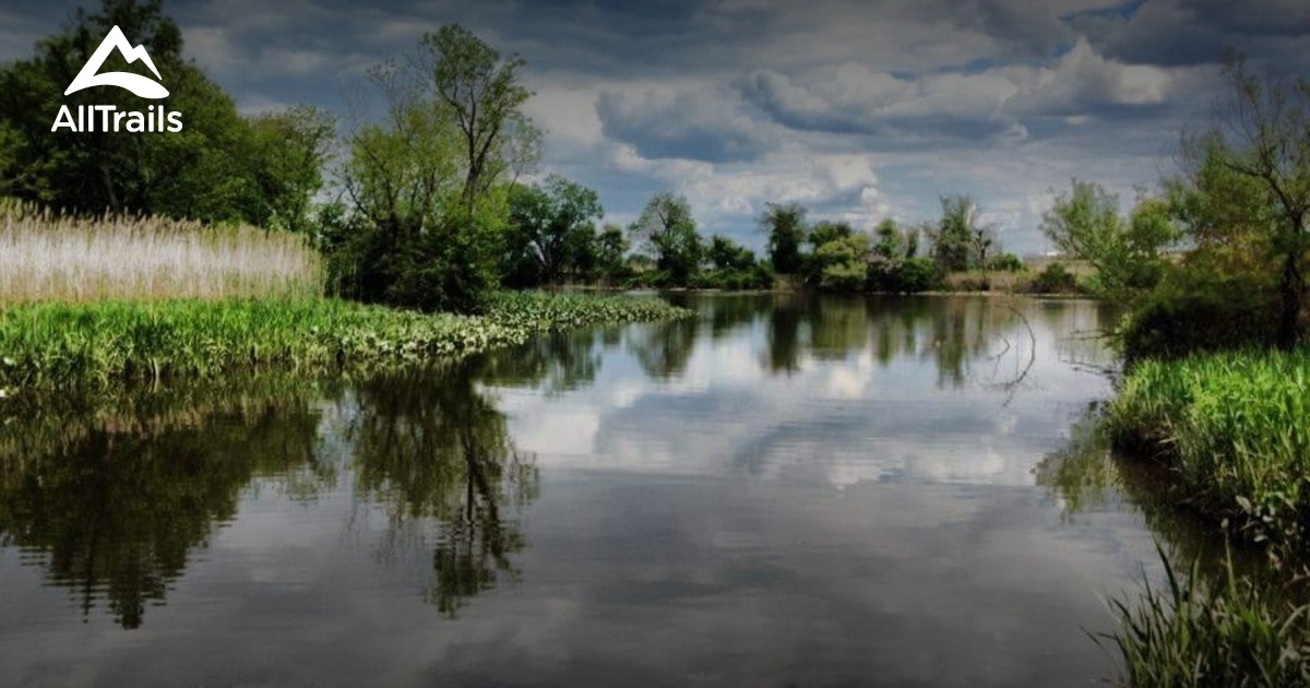 Best hikes and trails in John Heinz National Wildlife Refuge | AllTrails