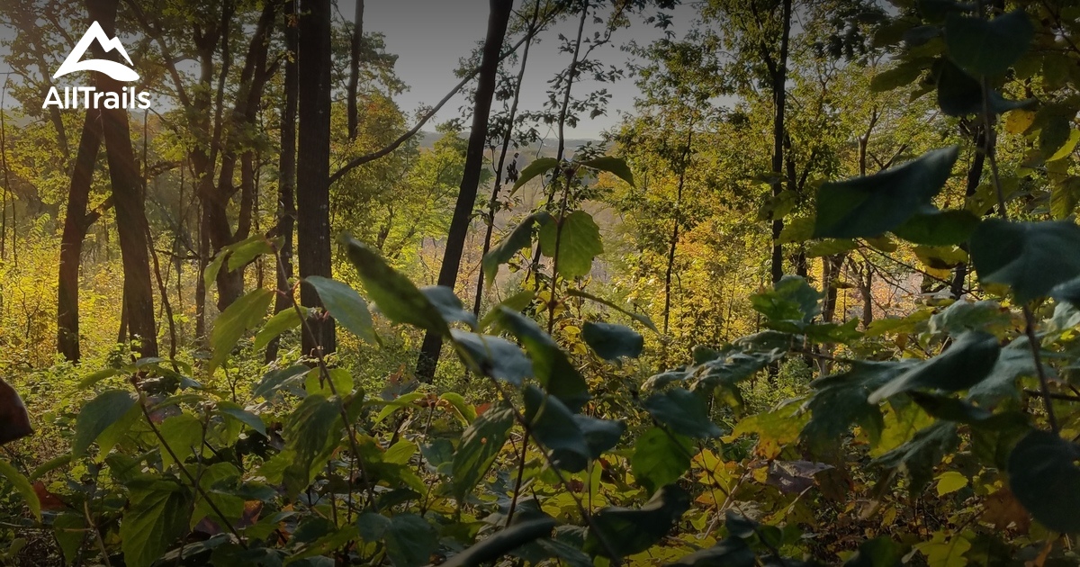 Best hikes and trails in Goose Lake Drumlins State Natural Area | AllTrails