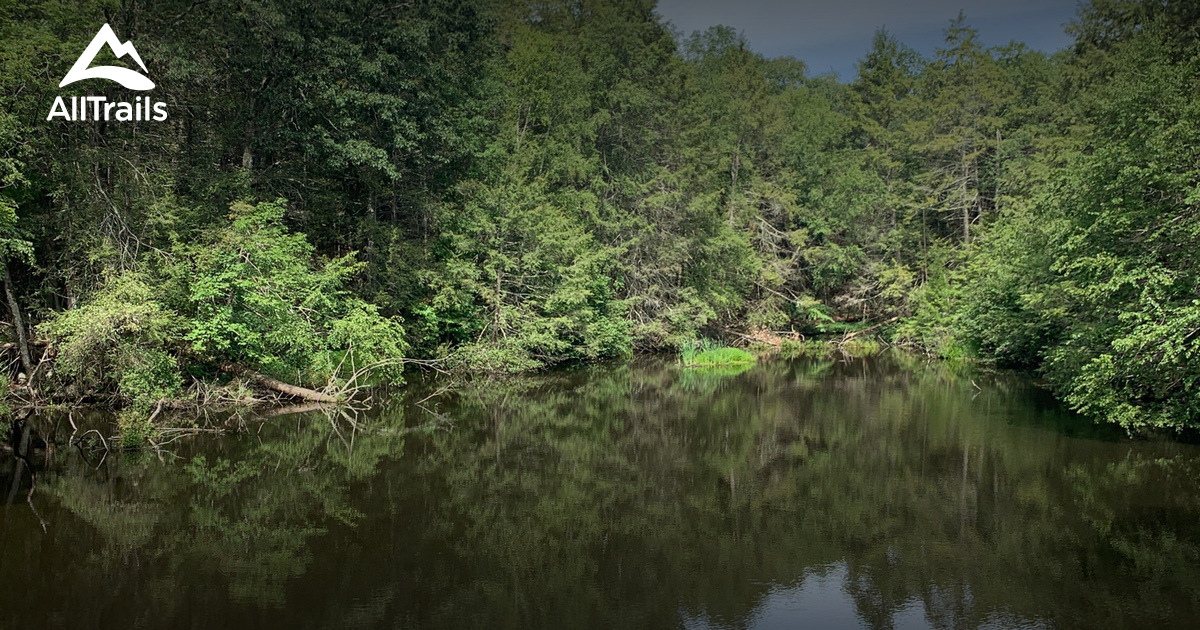 Best hikes and trails in Roaring Brook Nature Center | AllTrails