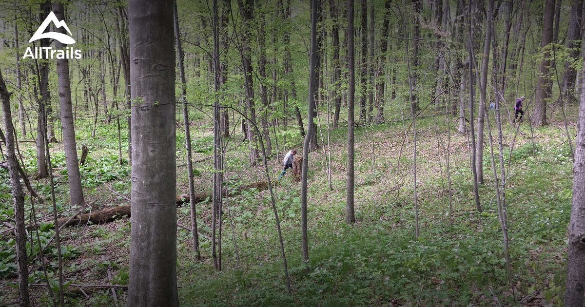 Best hikes and trails in Sharon Mills County Park | AllTrails