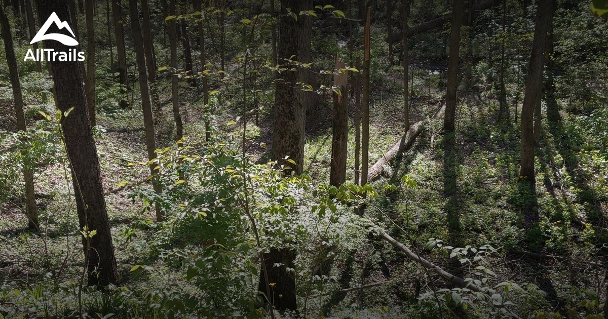 Best hikes and trails in Brukner Nature Center | AllTrails