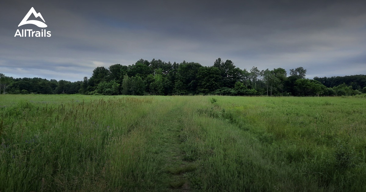 Best hikes and trails in Bellamy River Wildlife Mgt. Area | AllTrails