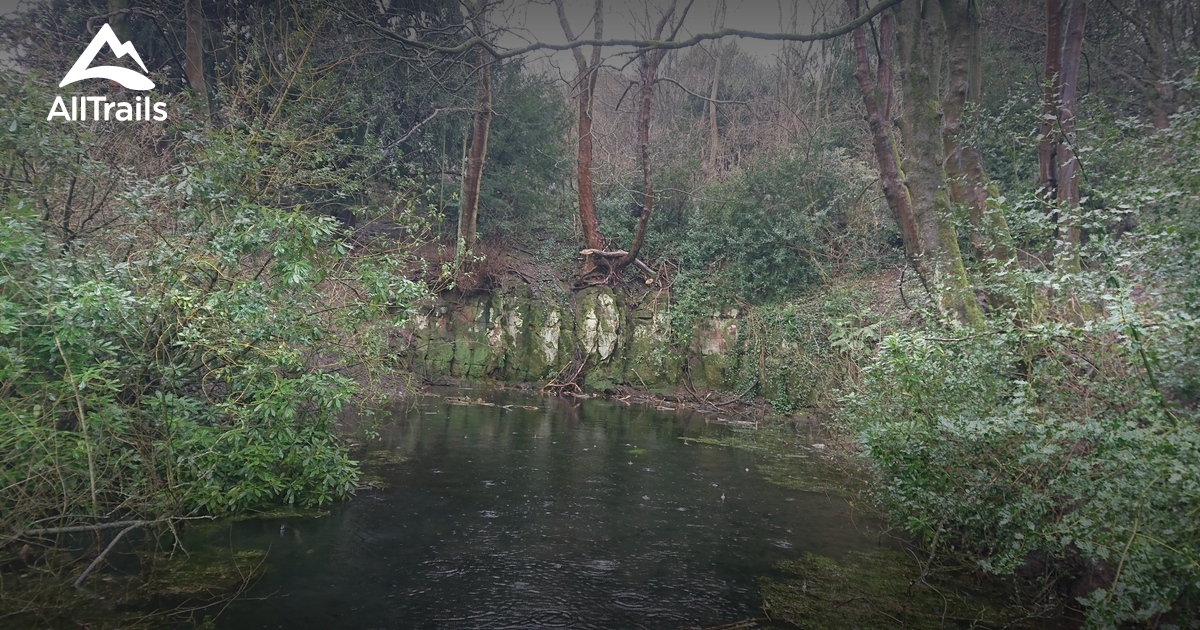 Best walking trails in Park Hall Country Park | AllTrails