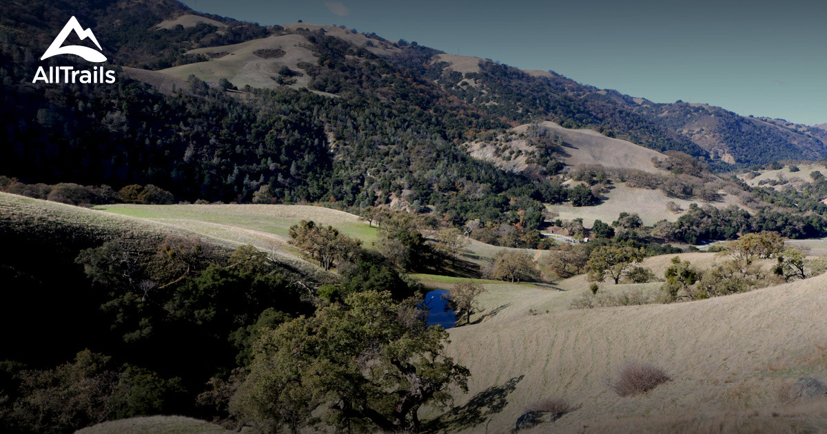 Best Trails in Sunol Wilderness Regional Preserve - California | AllTrails