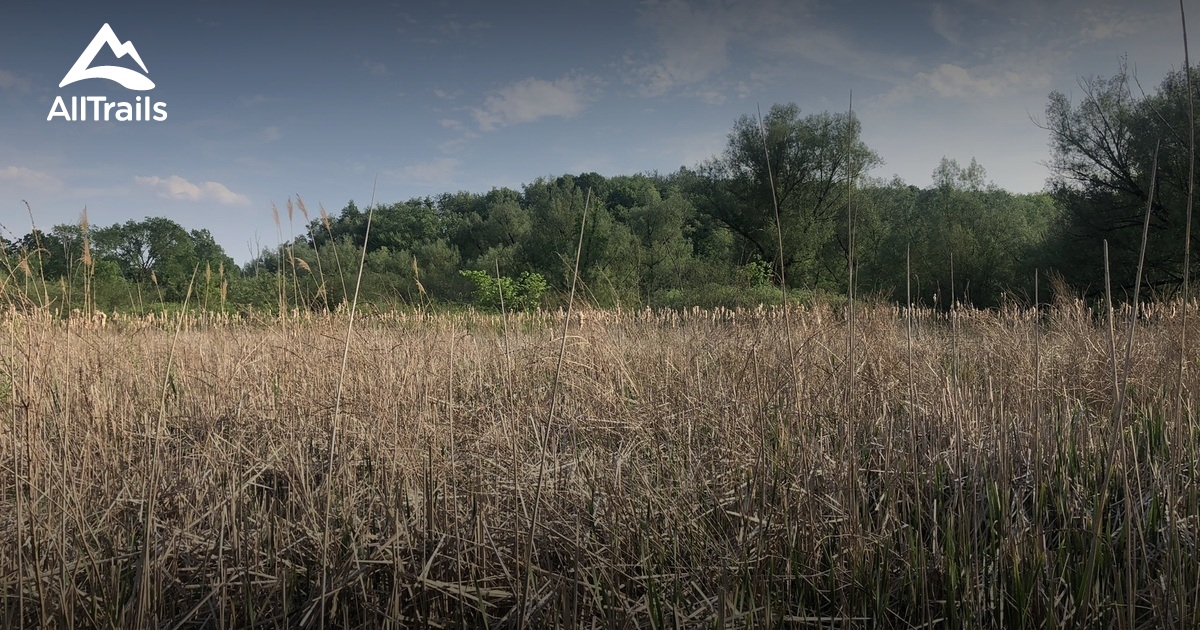 Best hikes and trails in Jackson Bog State Nature Preserve | AllTrails