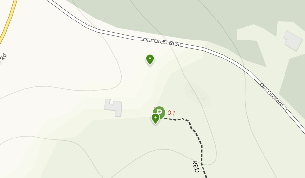 Best Trails in Cranberry Lake Preserve - New York | AllTrails