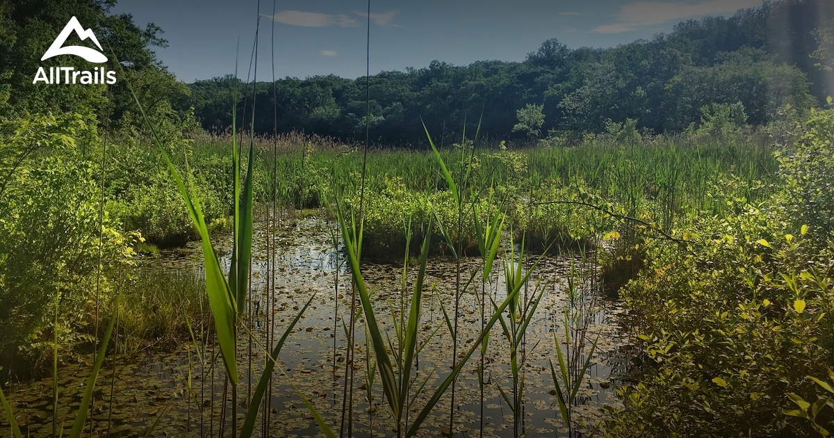 Best hikes and trails in Cranberry Lake Preserve | AllTrails