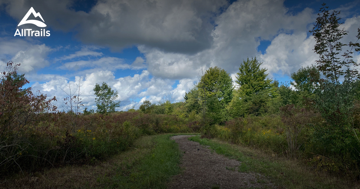 Best hikes and trails in Hatches Corner Metropark | AllTrails