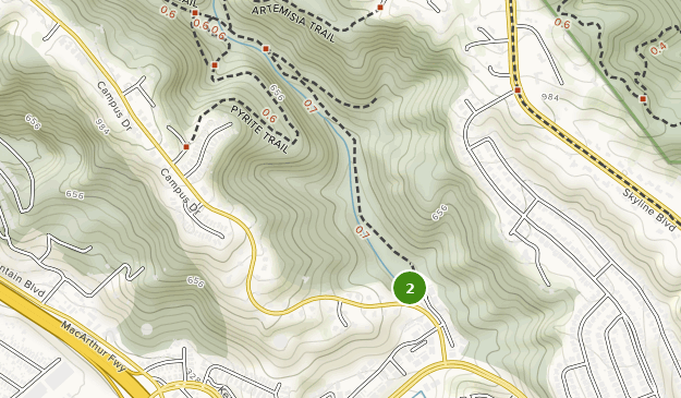 Best Trails in Leona Canyon Open Space Regional Preserve - California ...