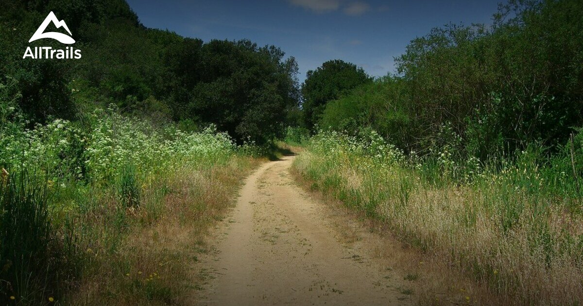 Leona Canyon Open Space Regional Preserve : les meilleures randonnées ...