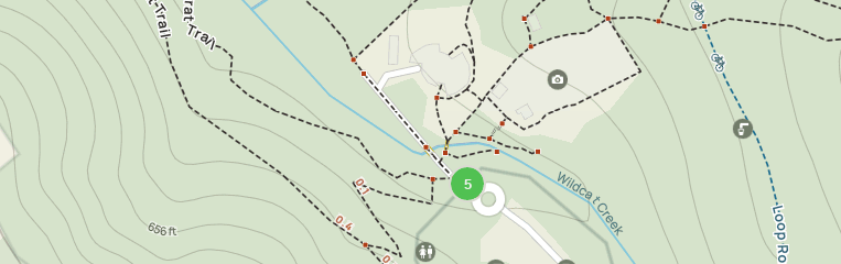 Best Hikes and Trails in Tilden Nature Area | AllTrails