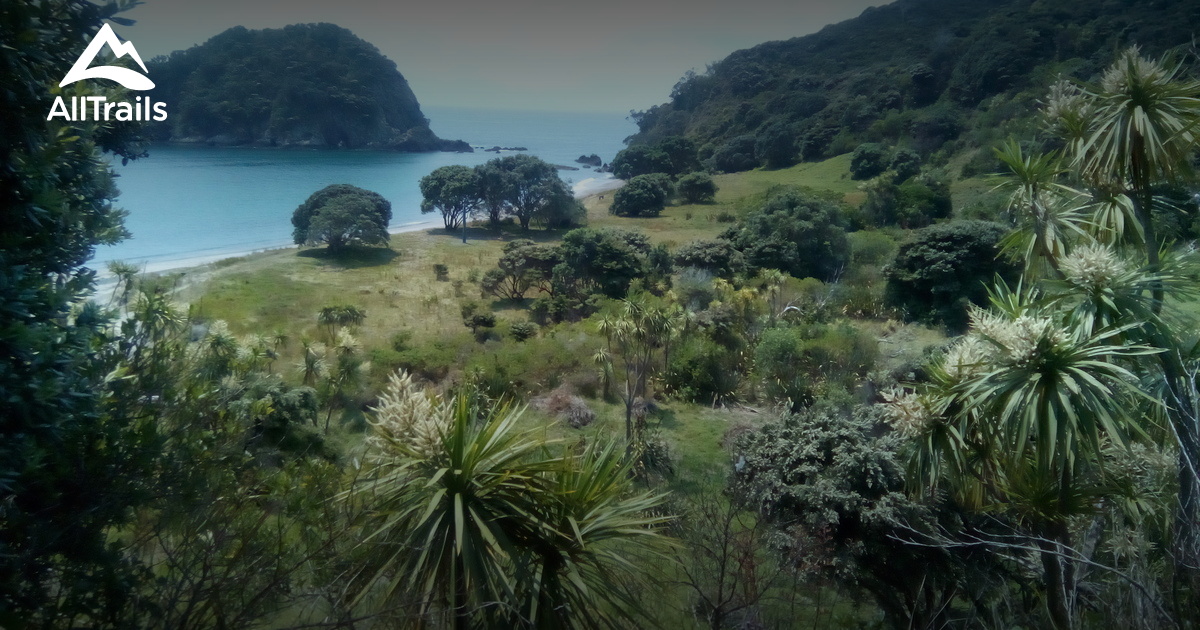 Best hikes and trails in Moturua Island Scenic Reserve | AllTrails