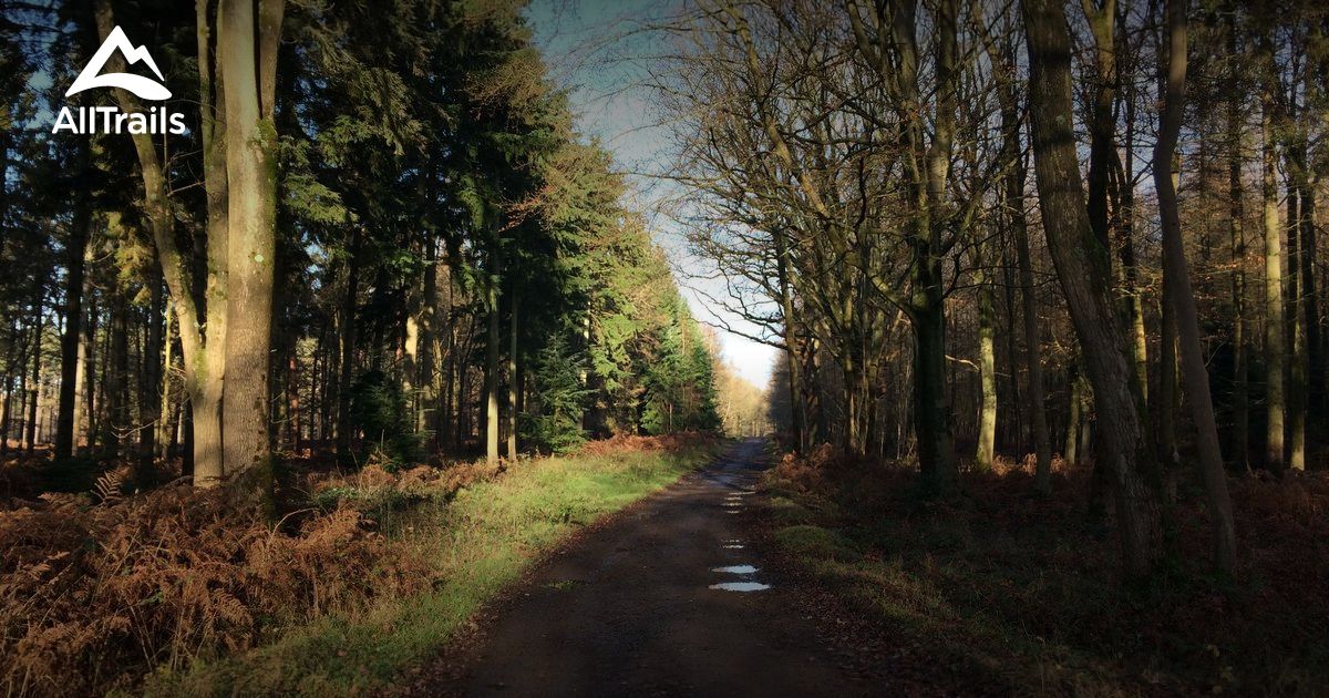 Best Trails in Swinley Forest - Berkshire, England | AllTrails