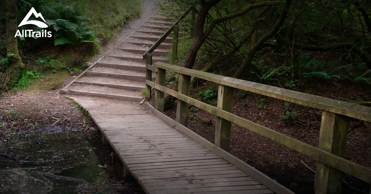 Best walking trails in Chasewater Country Park | AllTrails