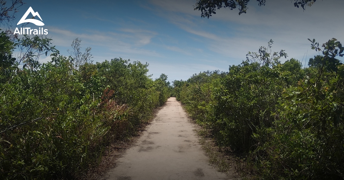 Best kid-friendly trails in Pedro César Vinha State Park | AllTrails