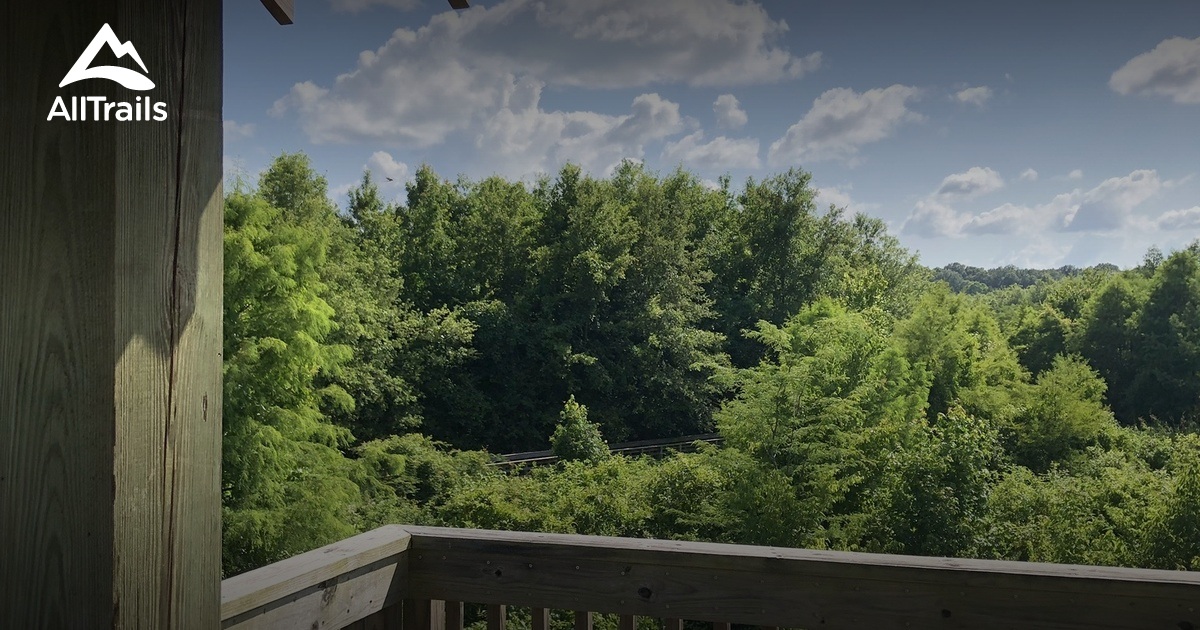 Best easy trails in Dahomey National Wildlife Refuge | AllTrails