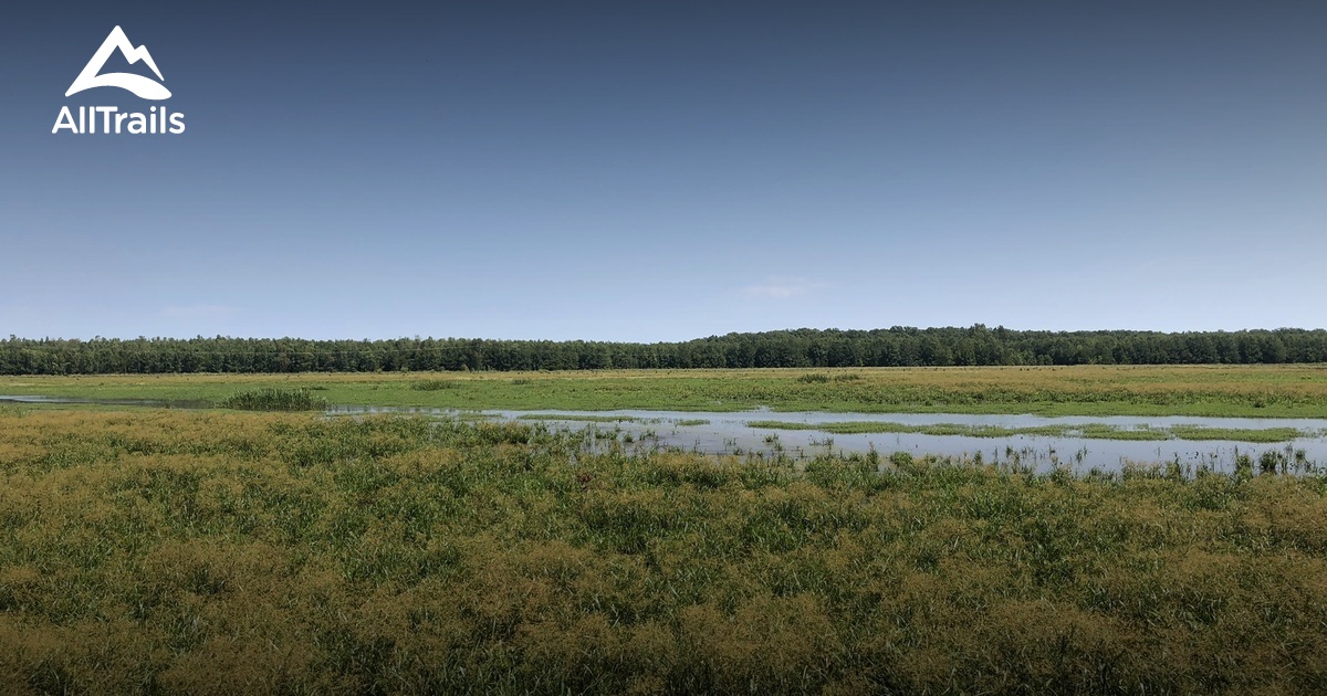 Best hikes and trails in Bayou Cocodrie National Wildlife Refuge ...