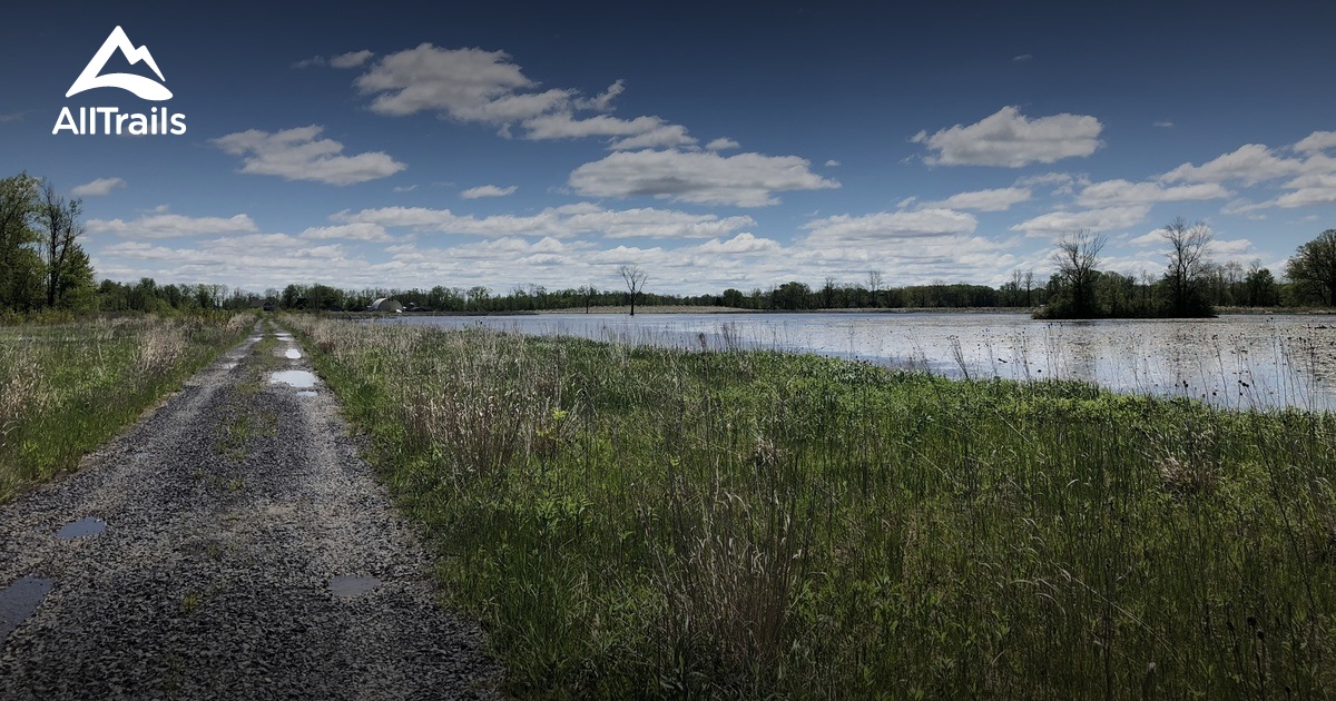Best hikes and trails in Seneca Meadows Wetlands Preserve | AllTrails