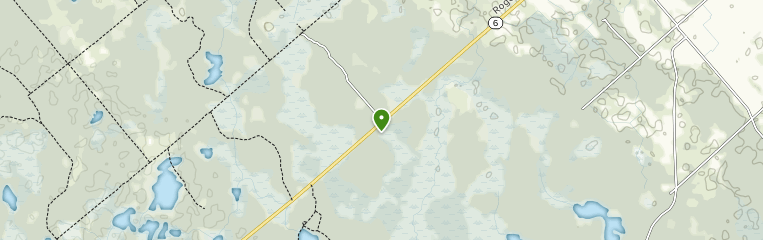 Best Trails in Marlborough Forest - Ontario, Canada | AllTrails