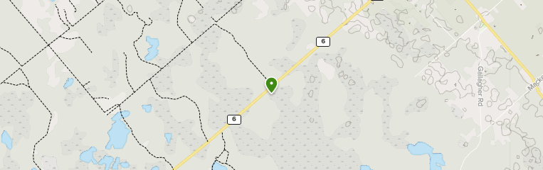 Best Trails in Marlborough Forest - Ontario, Canada | AllTrails