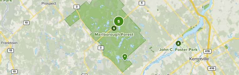 Best Trails in Marlborough Forest | AllTrails