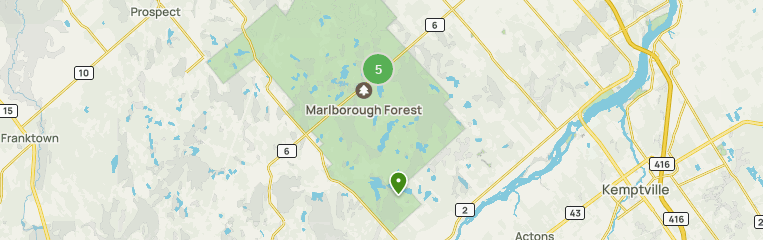 Best Hikes and Trails in Marlborough Forest | AllTrails