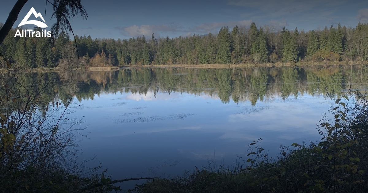 Best Trails in Cheam Wetlands Regional Park - British Columbia, Canada ...