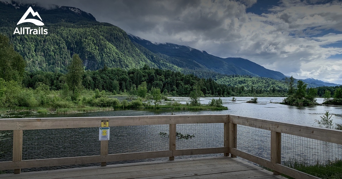 Best hikes and trails in Cheam Wetlands Regional Park | AllTrails