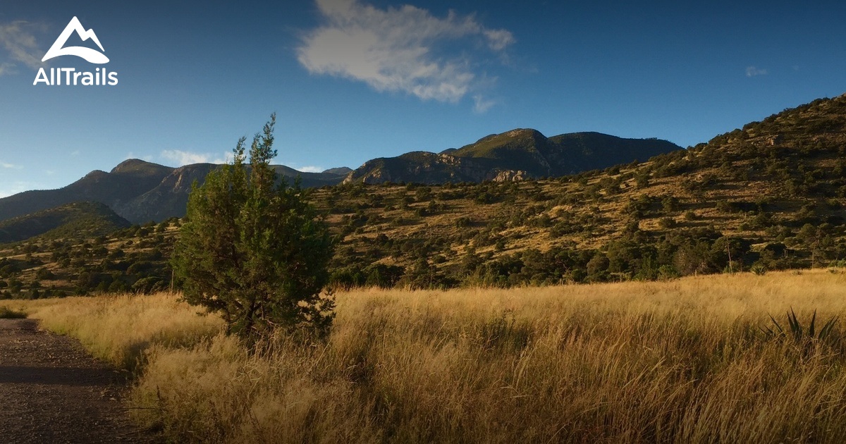 10 Best hikes and trails in Miller Peak Wilderness Area | AllTrails