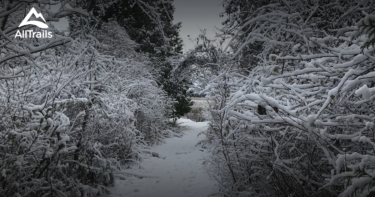 Best hikes and trails in Gamiing Nature Center Trail System | AllTrails