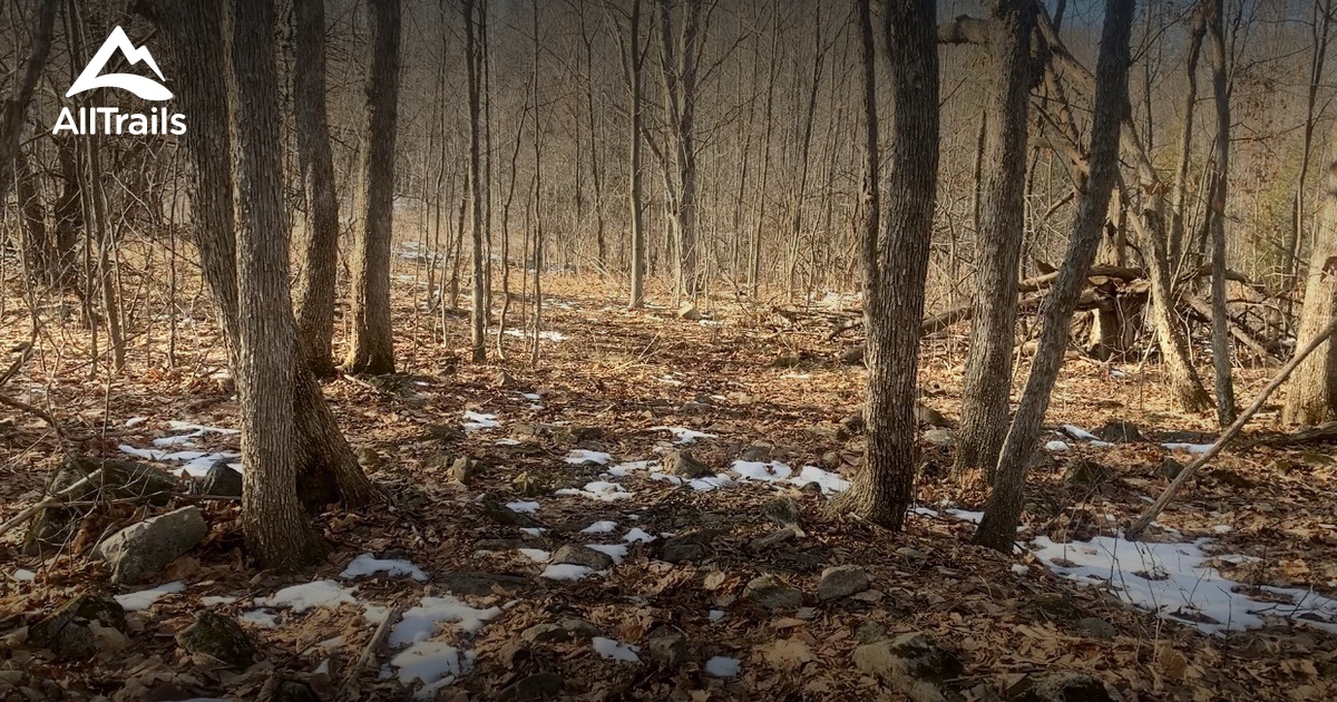 Best hikes and trails in Reveler Conservation Area | AllTrails