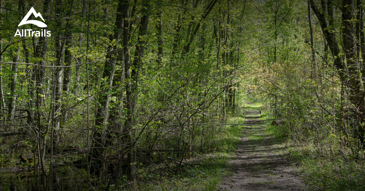 Best hikes and trails in Brauer Preserve | AllTrails
