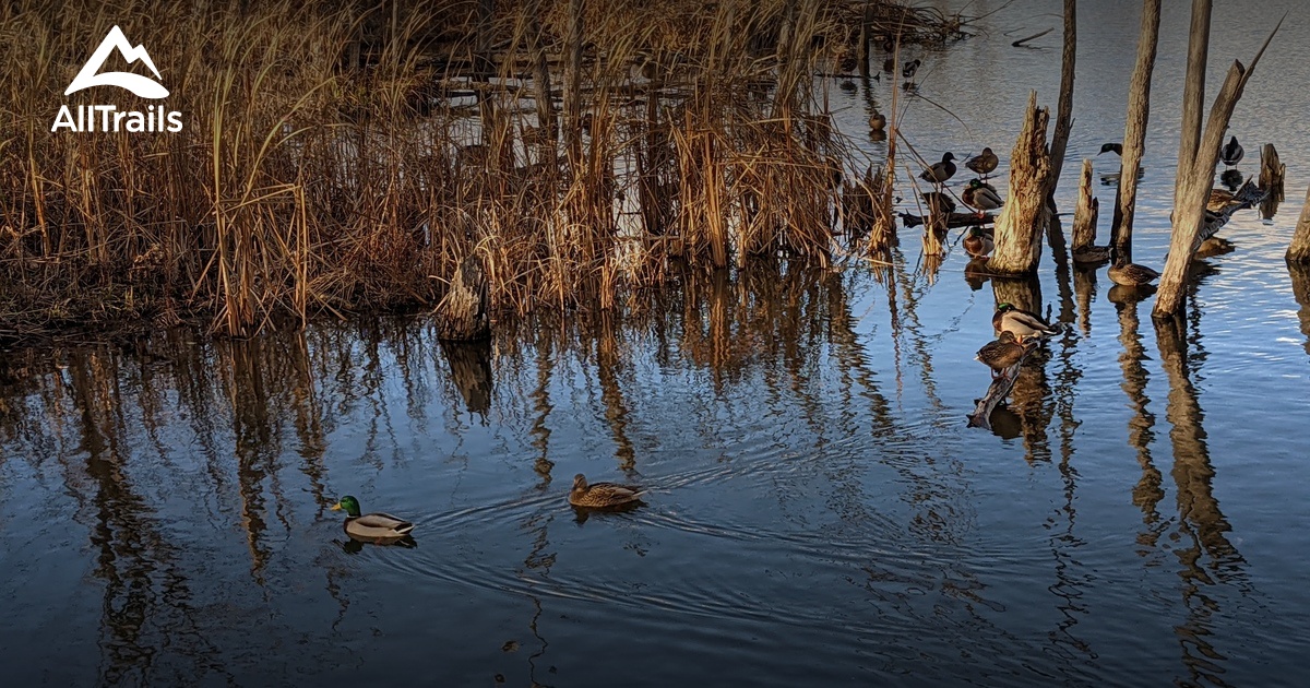 Best hikes and trails in Emerald Preserve Park | AllTrails