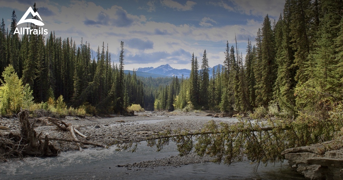 Best hikes and trails in Crescent Falls Provincial Recreation Area ...