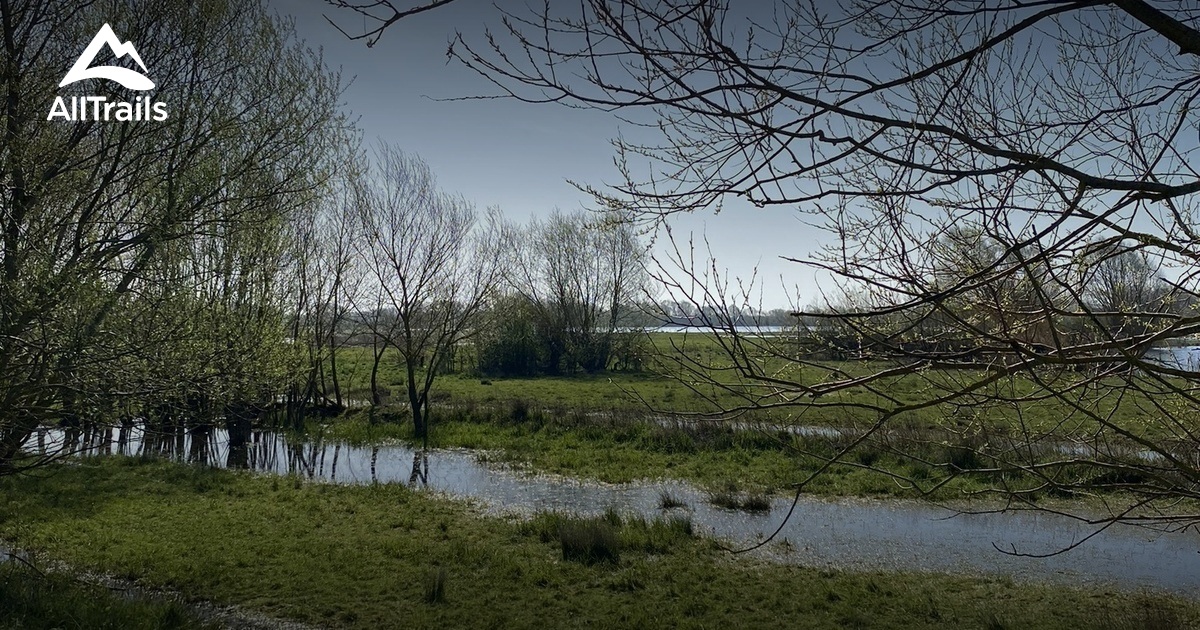 Best hikes and trails in Fen Drayton Lakes Nature Reserve | AllTrails