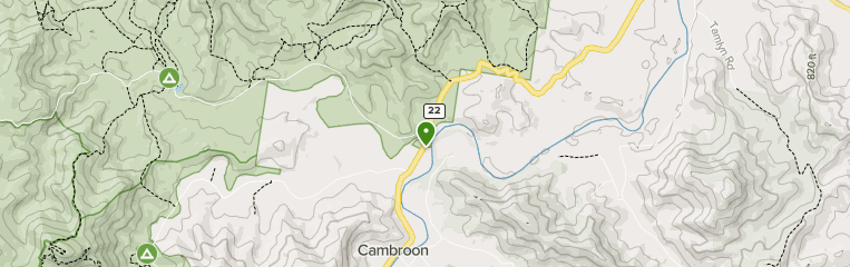 Best Trails in Imbil State Forest 1 - Queensland, Australia | AllTrails