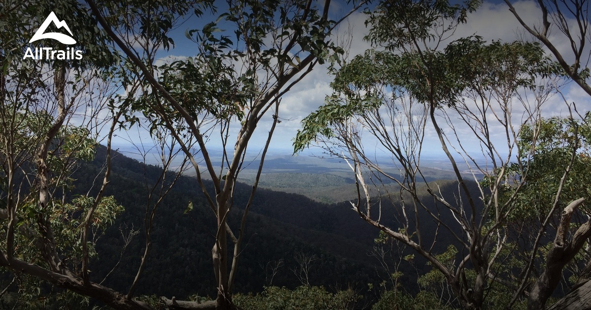 Best hikes and trails in Woowoonga National Park | AllTrails