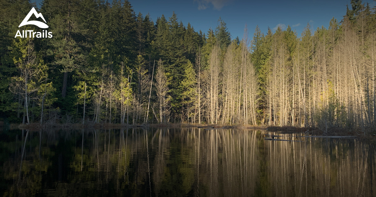 Best forest trails in Whyte Lake Park | AllTrails