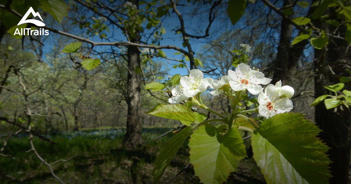 Best hikes and trails in Land of the Swamp White Oak Preserve | AllTrails