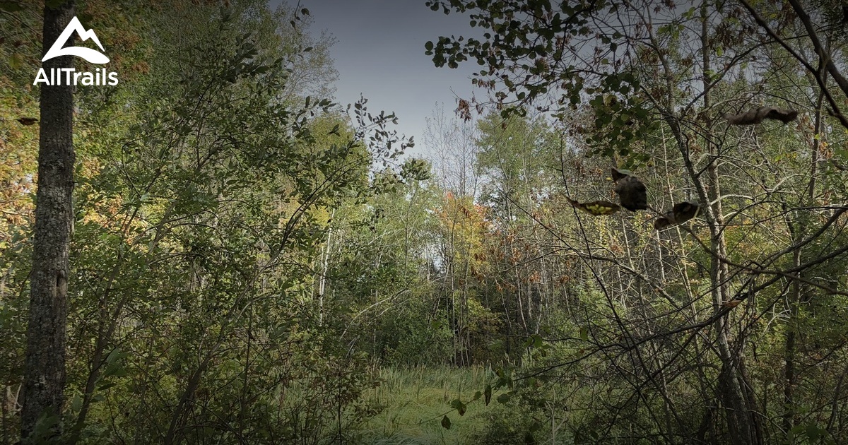 Die Besten Einfachen Routen in Three Island Lake County Park | AllTrails