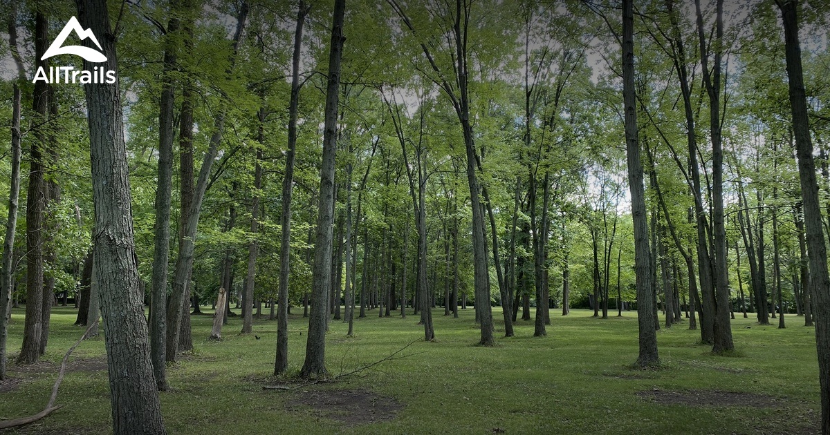 Best Hikes and Trails in Robinwood Park | AllTrails
