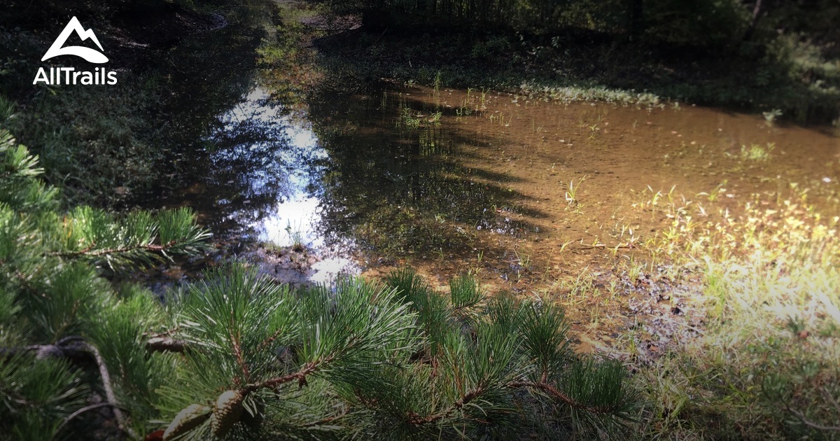 Best hikes and trails in Port Sheldon Natural Area | AllTrails