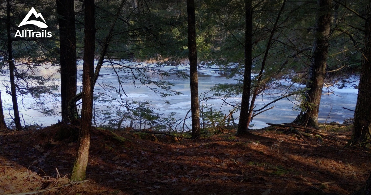 Best hikes and trails in West Branch Preserve | AllTrails