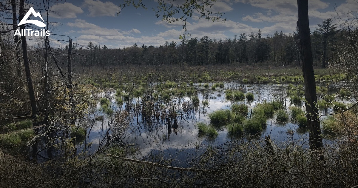 Best hikes and trails in Barber Reservation | AllTrails